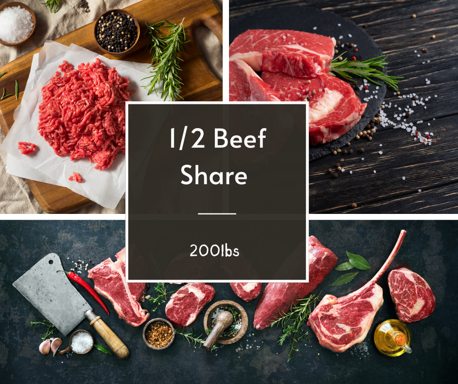 1/2 Beef Share Deposit – Rising A Custom Beef