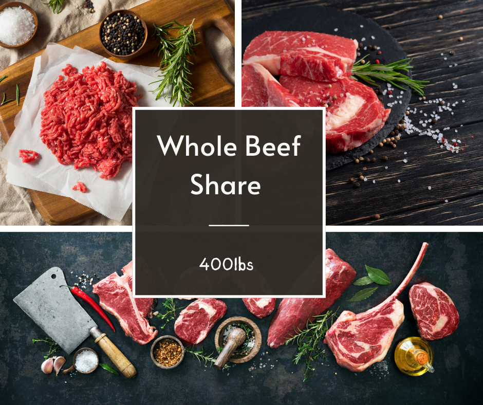 Whole Beef Share Deposit – Rising A Custom Beef